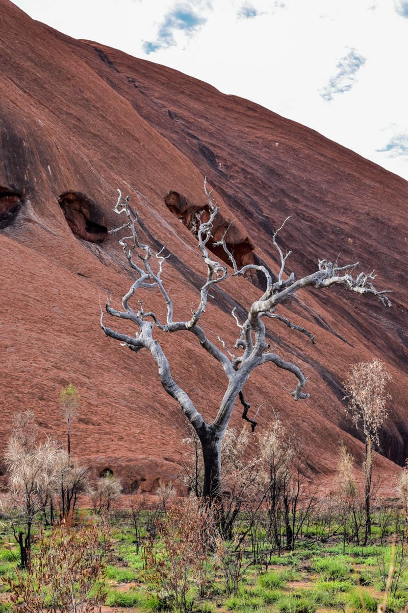 The magic of Uluru - Inside my Backpack